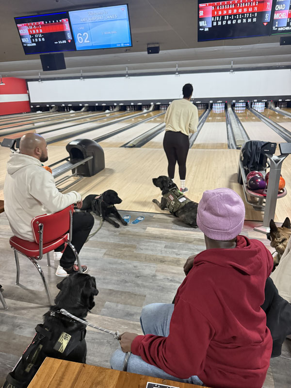 Pawsitive for Heroes service dog training stepping up its technique and ...